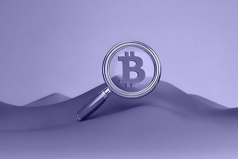 Demystifying Bitcoin's Ownership Landscape | Grayscale