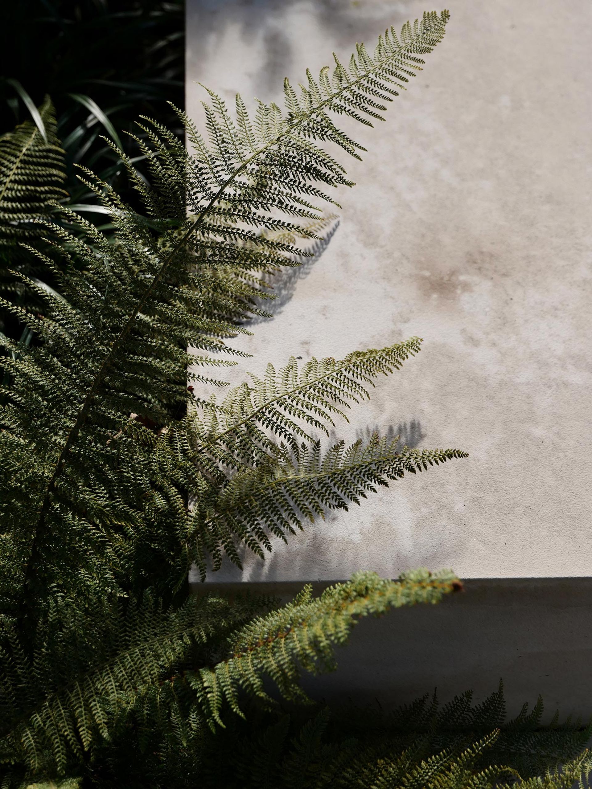 3 Orme Square | Pilbrow & Partners