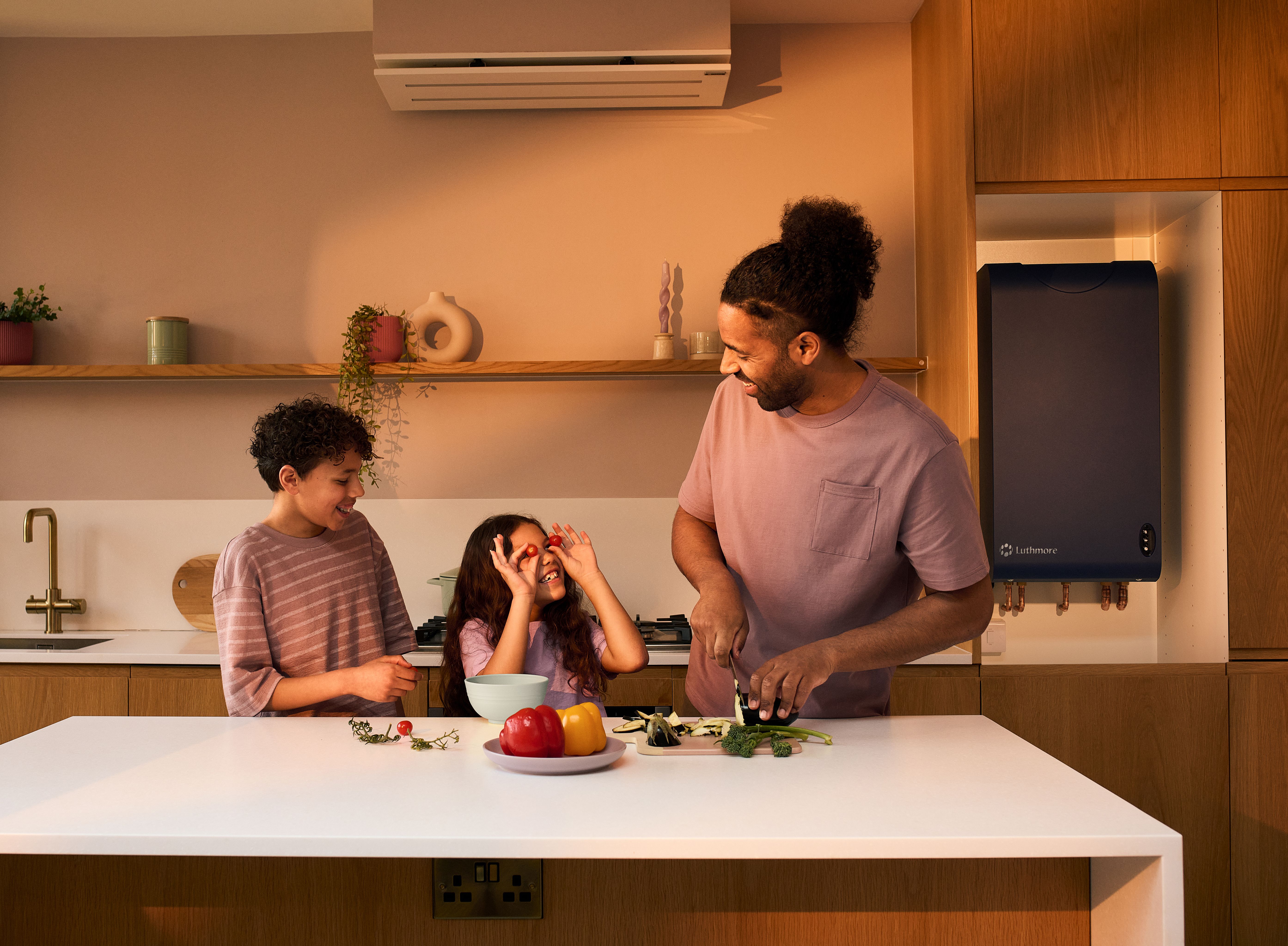 How does the zero emission Luthmore boiler work? Understanding the tech | Luthmore | The zero ...