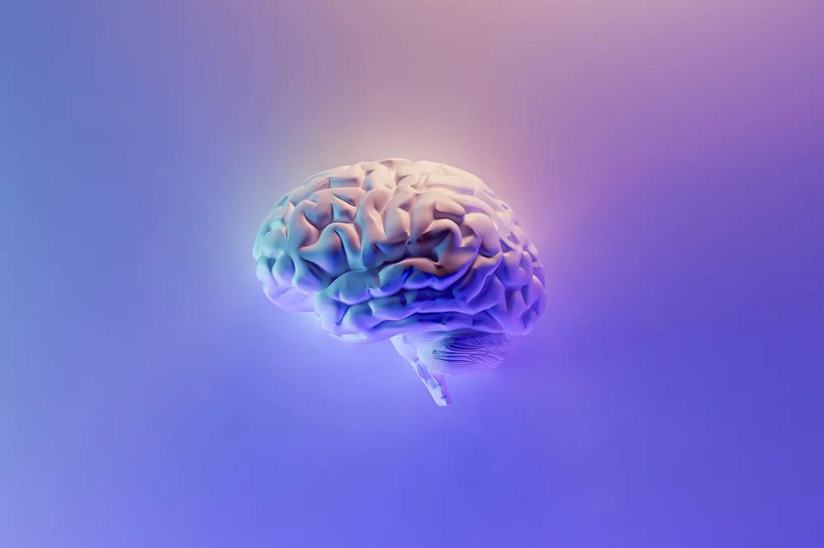 Why Brain School Tasmania? | Brain School Tasmania