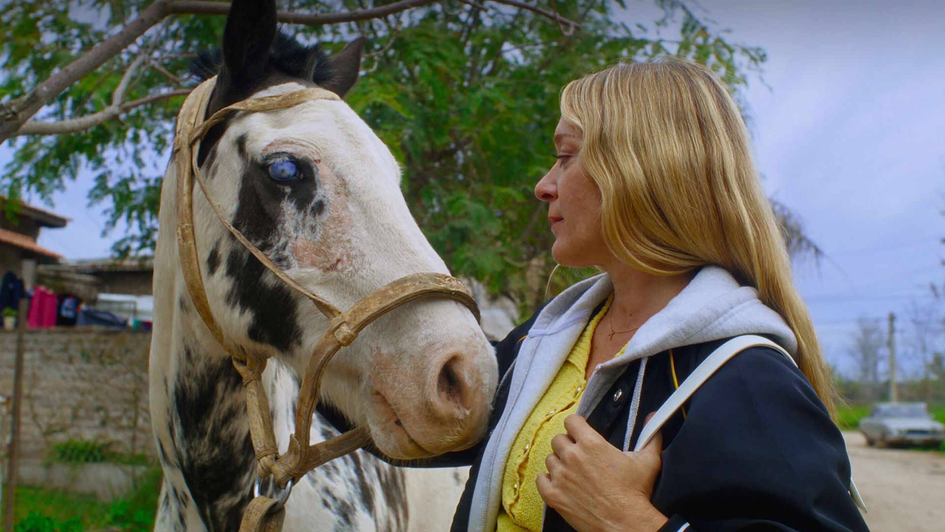 MUBI Fest Buenos Aires