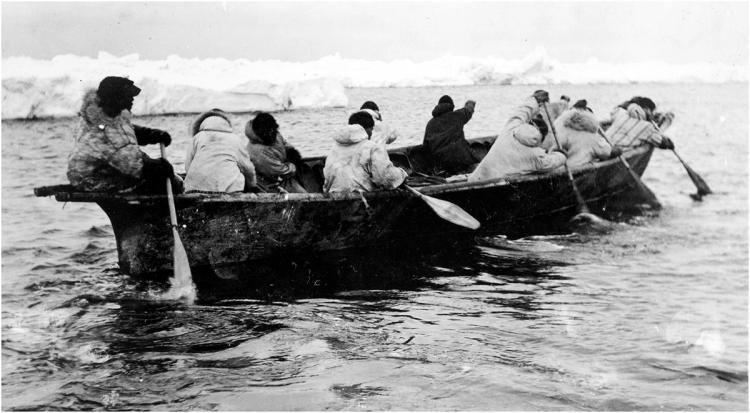 Yacht rock art: prehistoric carvings found in Norway may be oldest ...