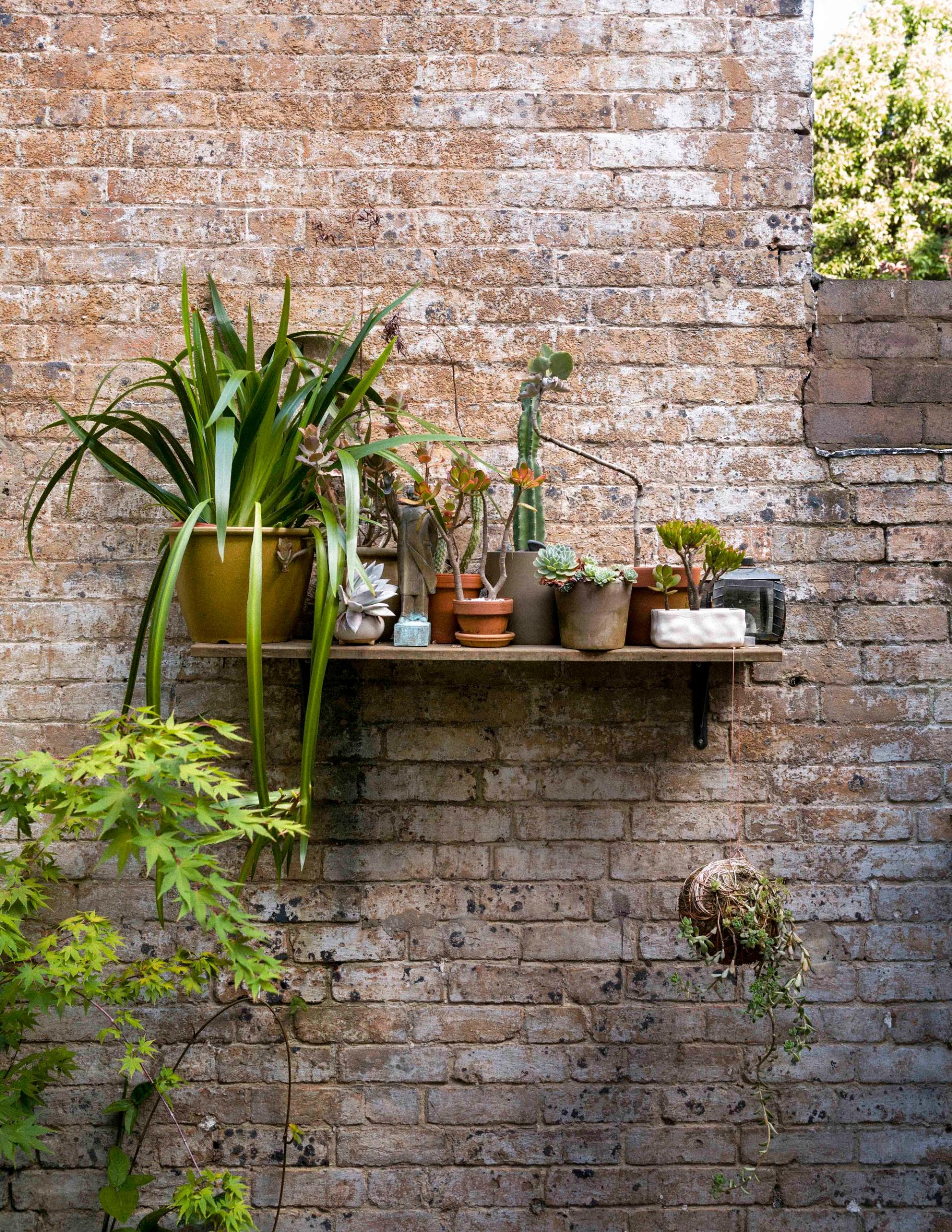 A picture book of avant-garde gardens and gardening