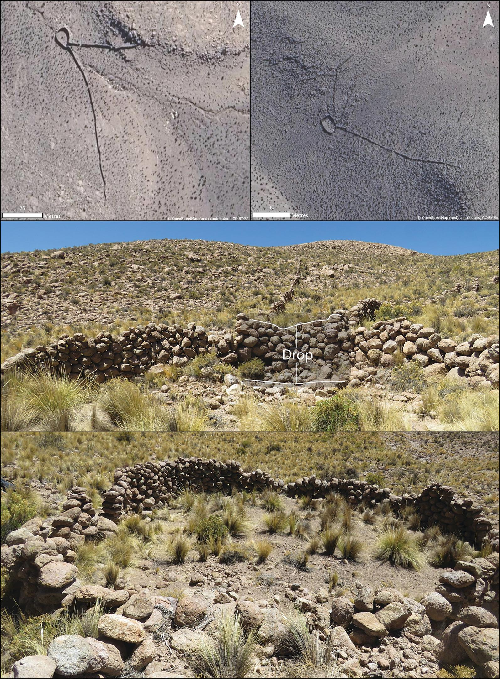 Ancient Andean hunting traps in Chile revealed by satellite imagery ...