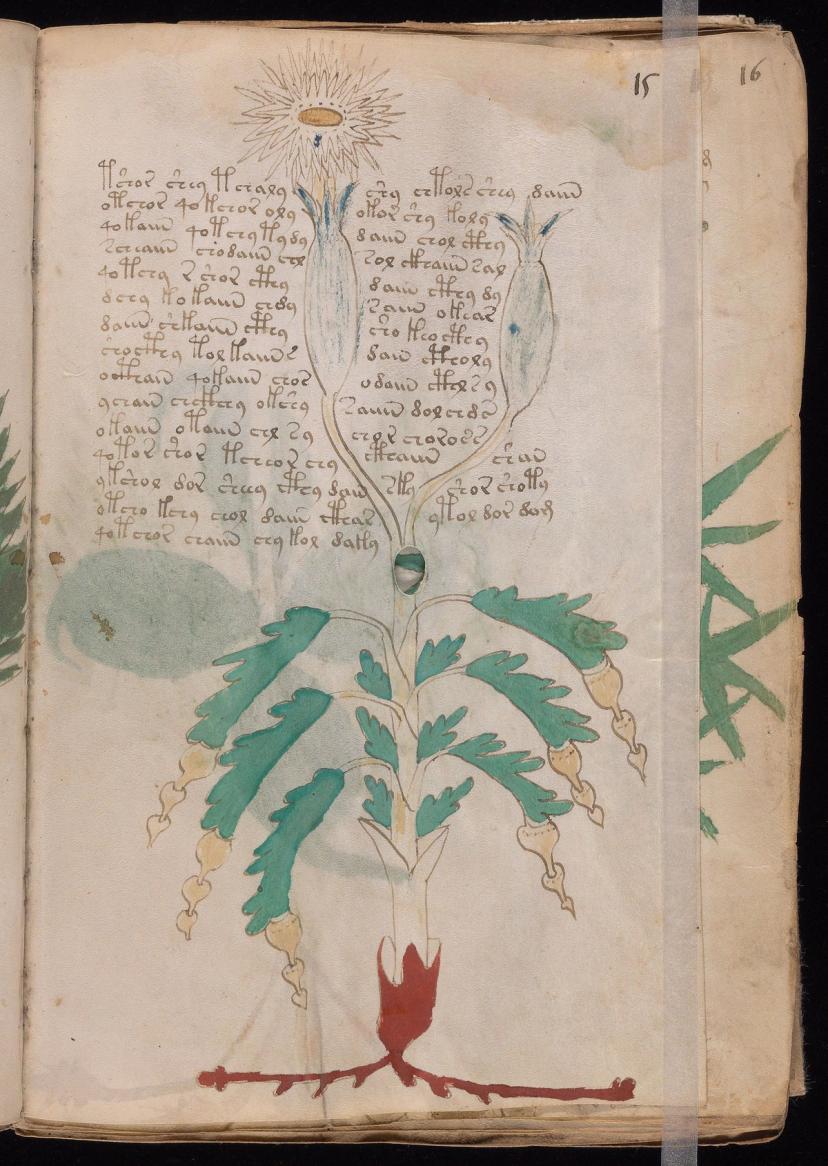 What is the Voynich Manuscript?