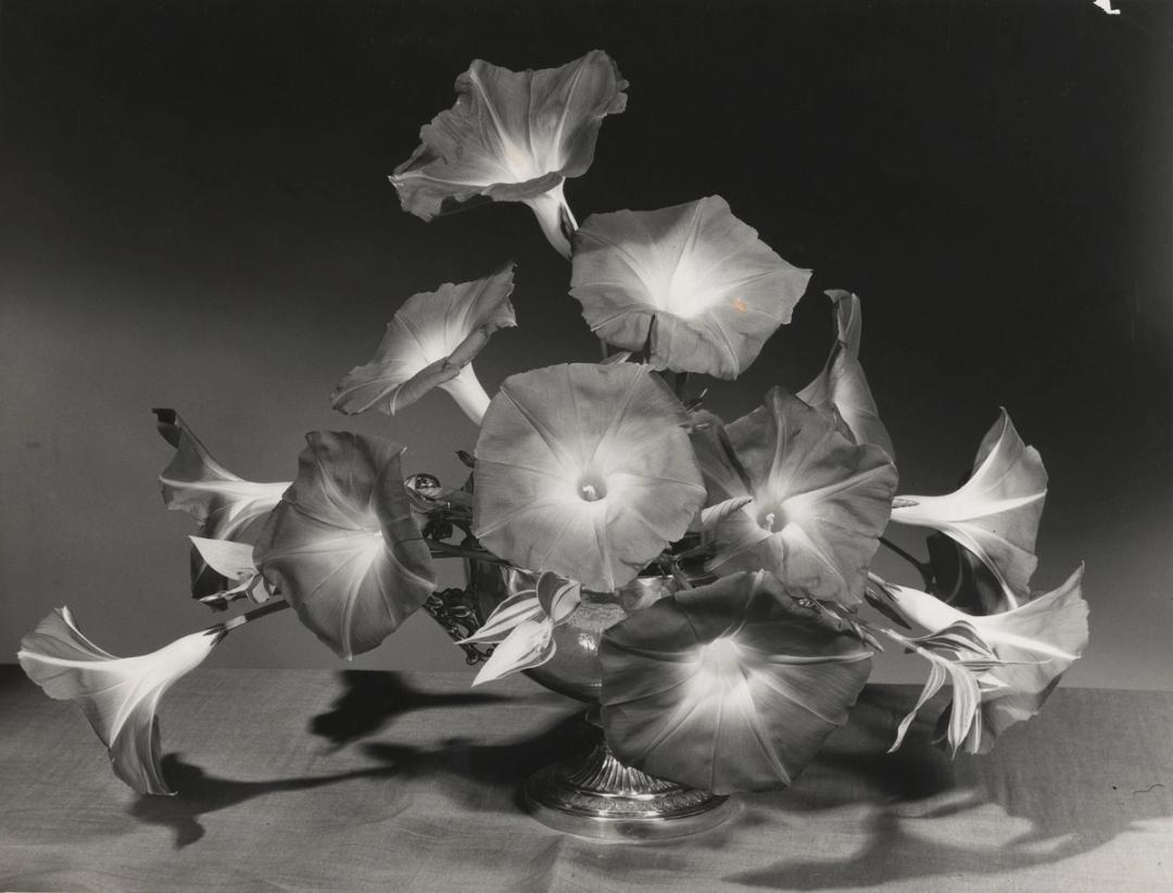 How flower arranging became an art form thanks to Constance Spry’s ...