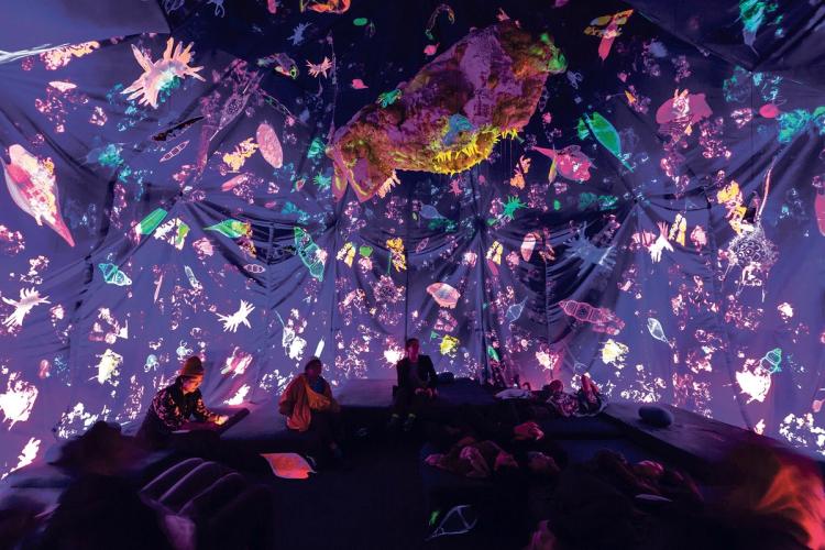 Anne Duk Hee Jordan: ‘We live on a very old, grumpy, fragile planet’