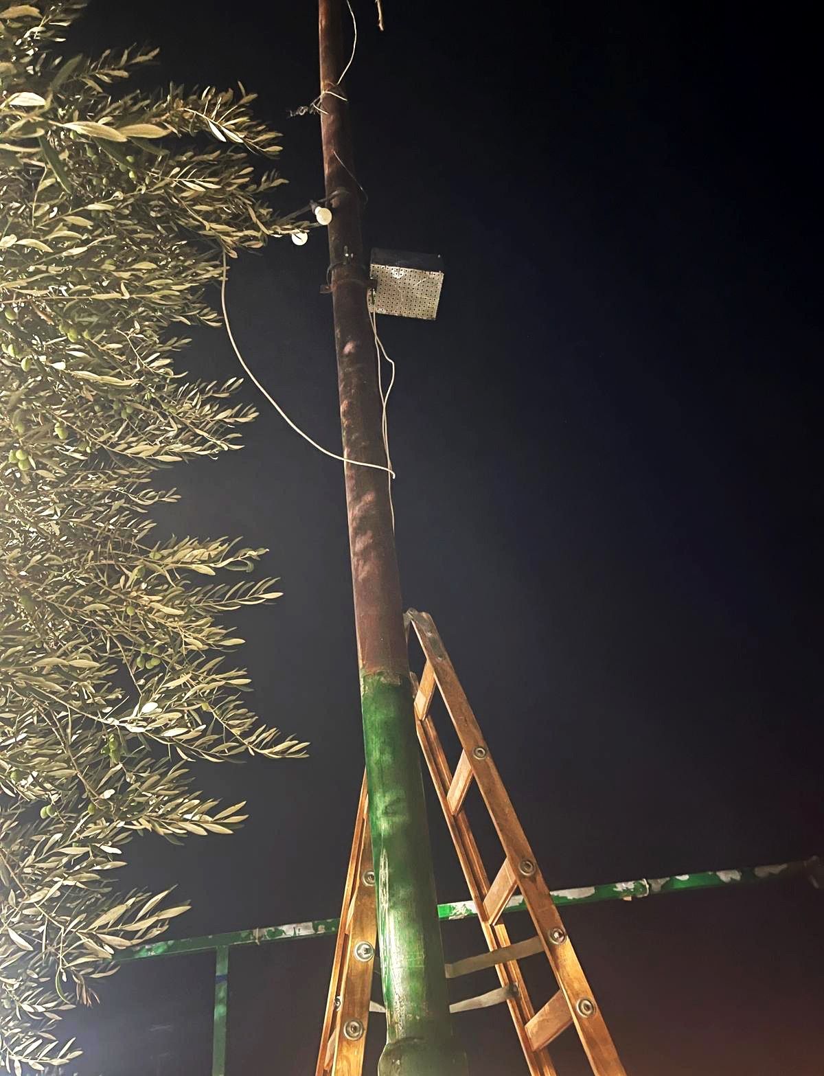 Cameras illicitly planted in Palestinian olive grove will broadcast ...