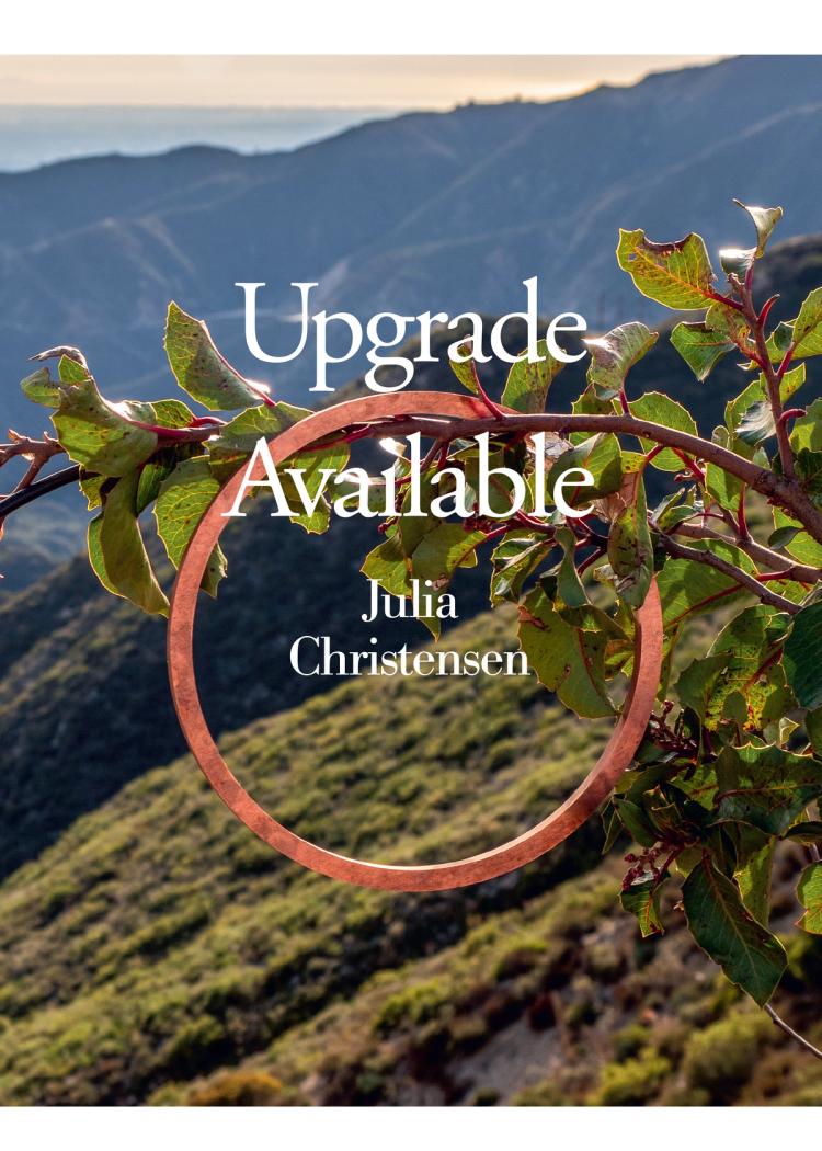 ‘Longevity feels a bit elusive at the moment’: artist Julia Christensen ...