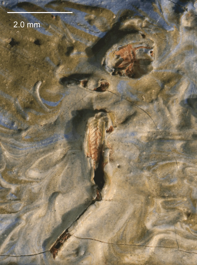 Discovered: Van Gogh’s fingerprint on an olive grove painting