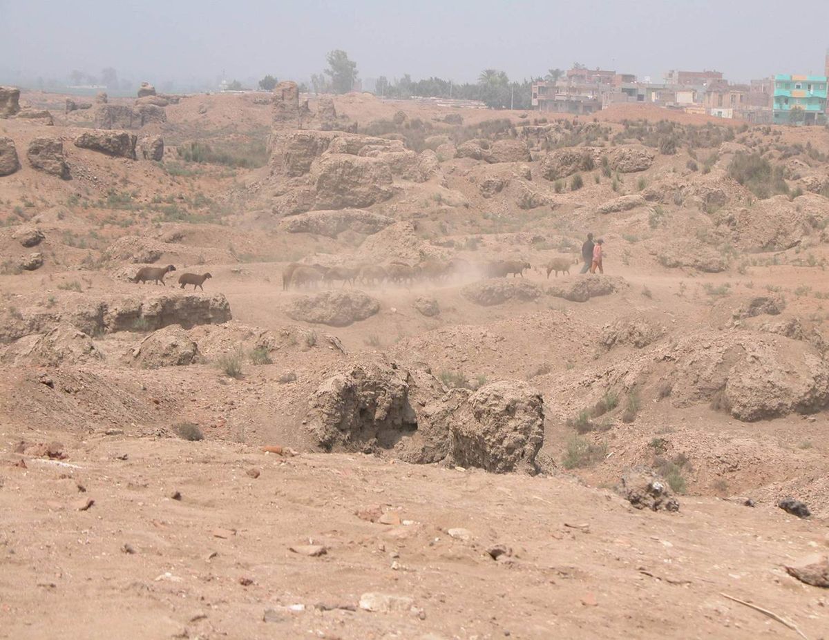 'Where the swords met bone': Archaeological evidence found of Ancient ...