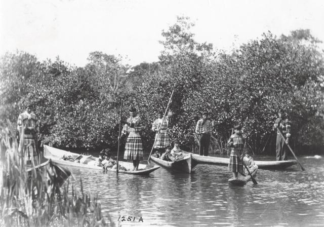 In pictures: journey back in time through the Everglades