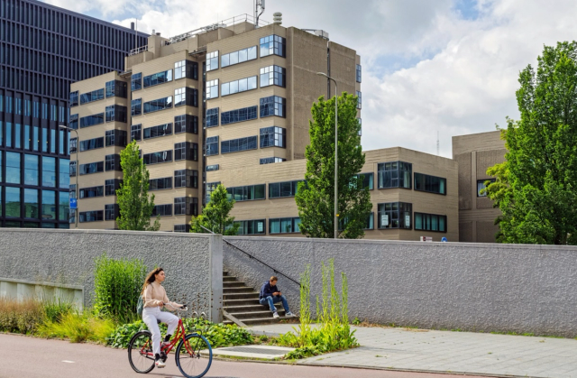 Dutch foundation plans to open major new contemporary art museum in ...