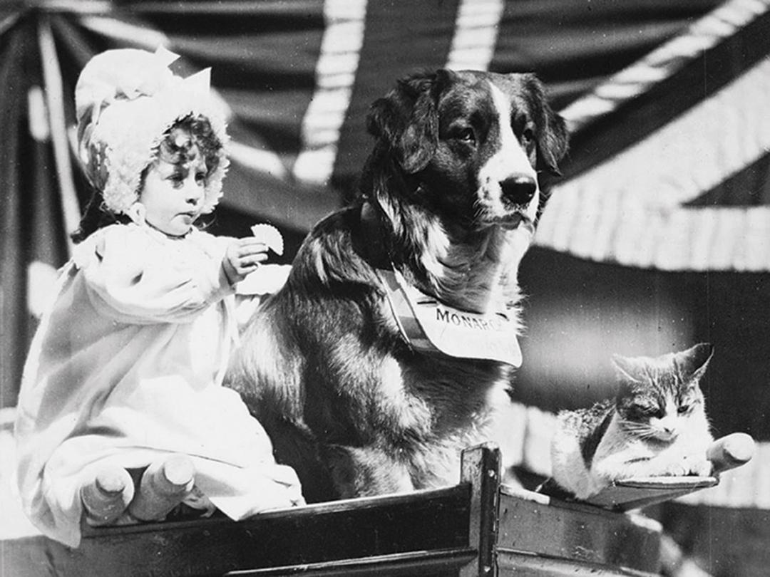 Victorians in pictures: British Film Institute digitises archive of ...