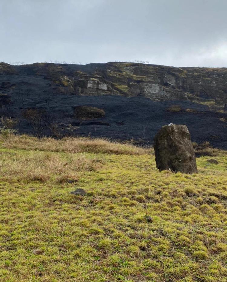 Wildfire on Easter Island causes 'irreparable' damage to ancient moai ...