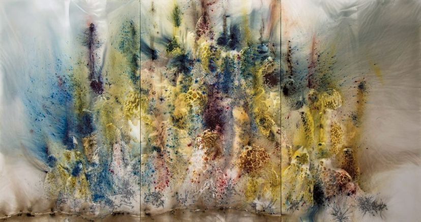 Cai Guo-Qiang’s explosive art, preserved for the ages