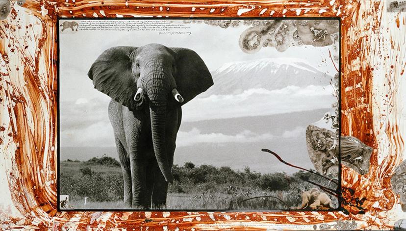 Extract | The late Peter Beard on being the only photographer to ...