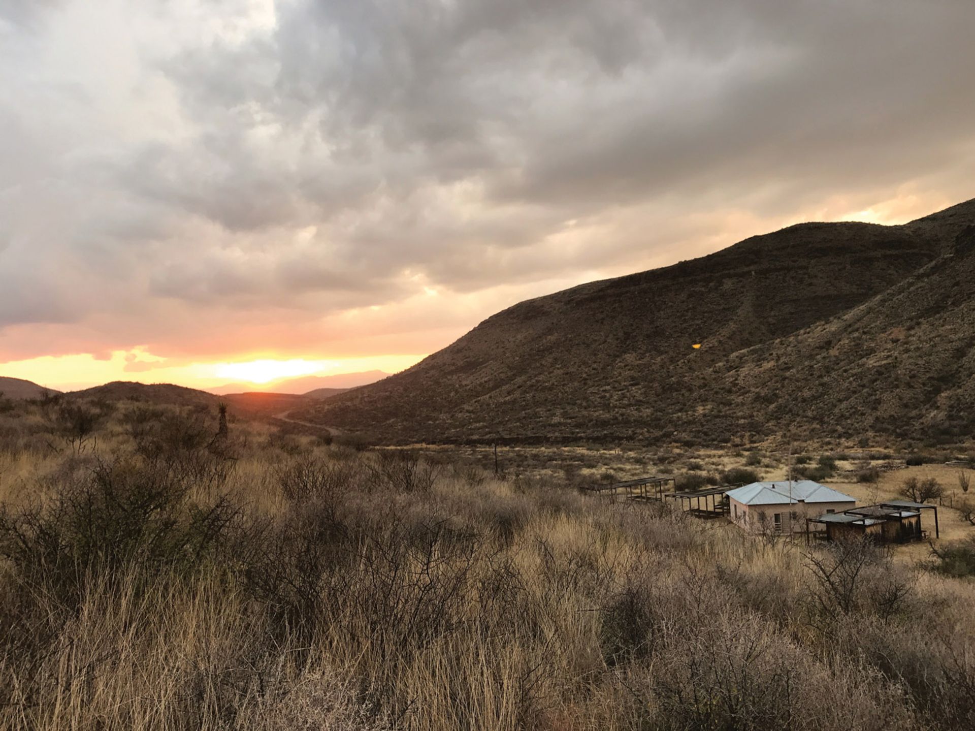 Judd down home on the ranch