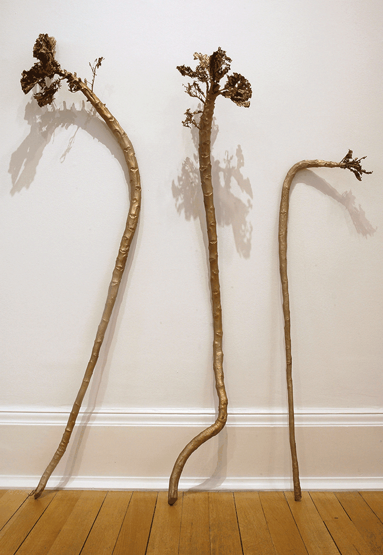 Anya Gallaccio: the artist casting trees in bronze, planting an orchard ...