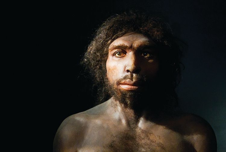 Zambia claims Rhodesian Man, the 250,000-year-old fossilised skull at ...