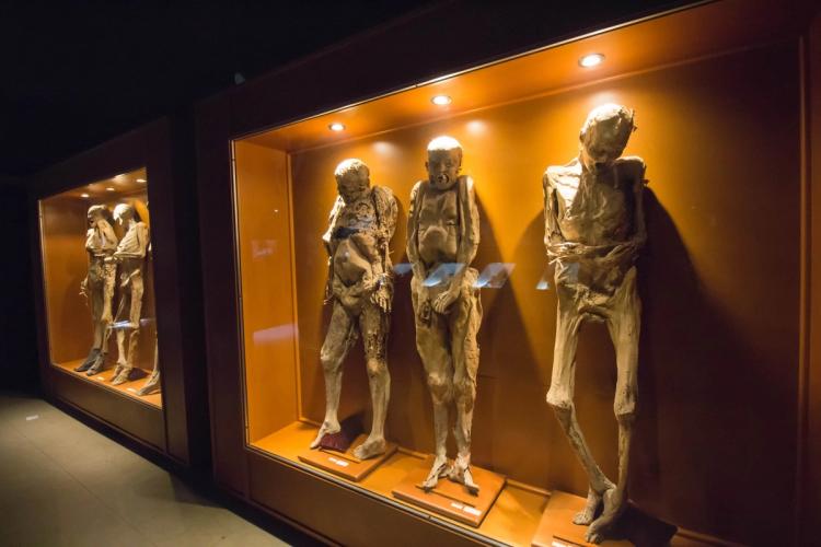 Mexican archaeological bureau denounces damage at Guanajuato’s mummies ...