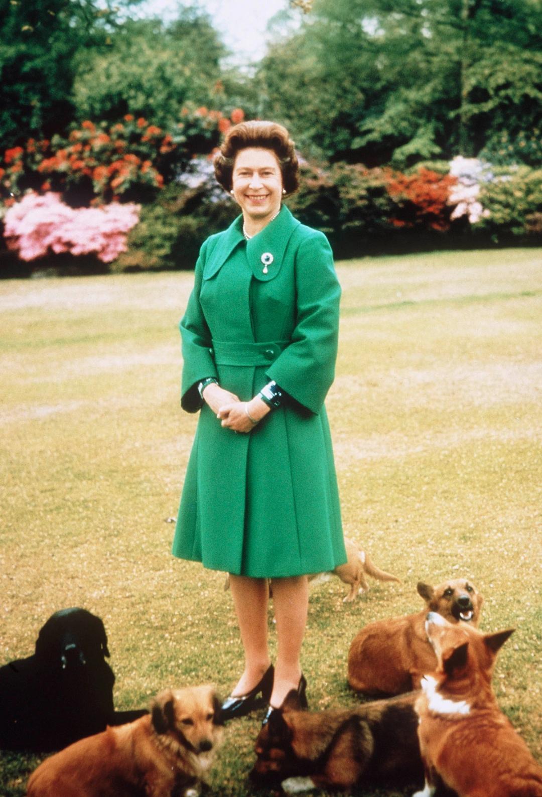 A coded royal message: how the Queen used clothes to send signals to ...