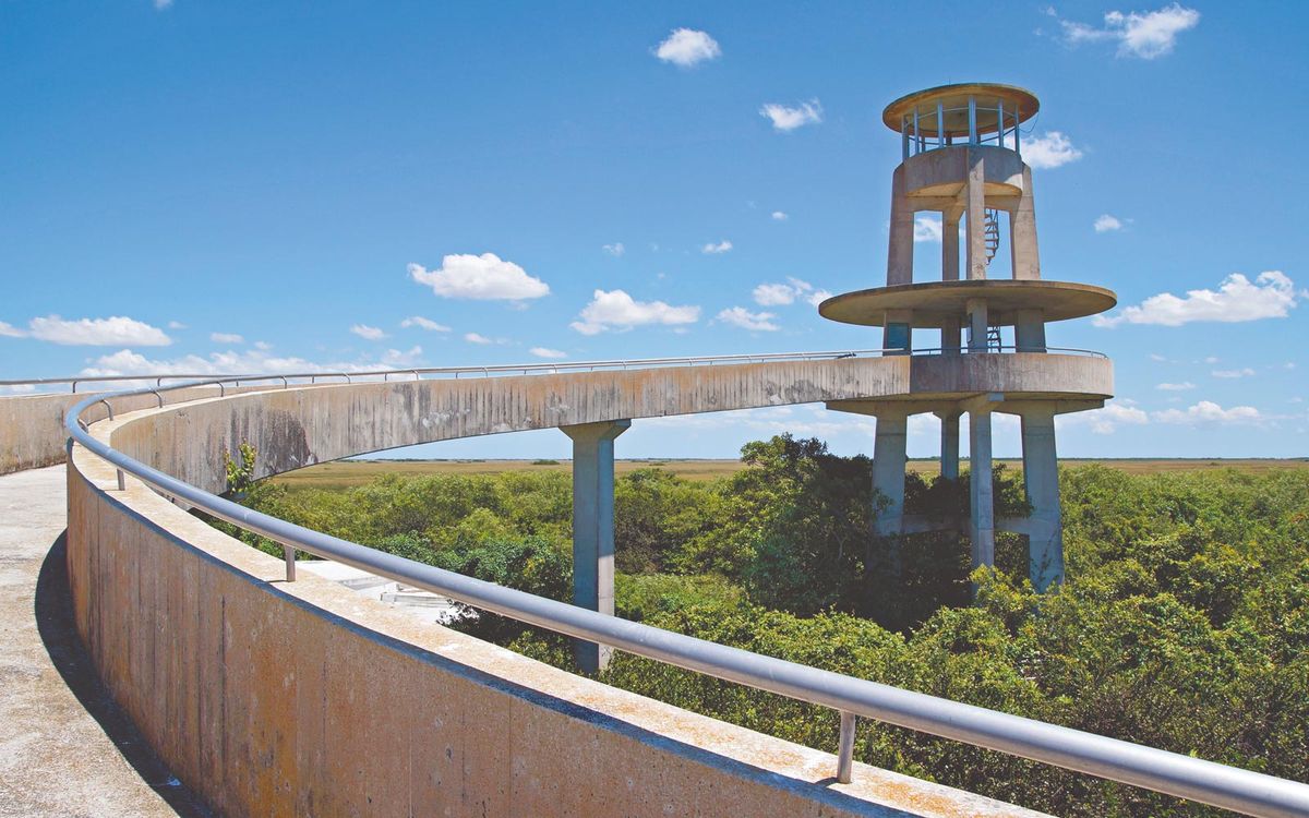 Not quite land, not quite sea, but all fearsome beauty: how Florida's ...