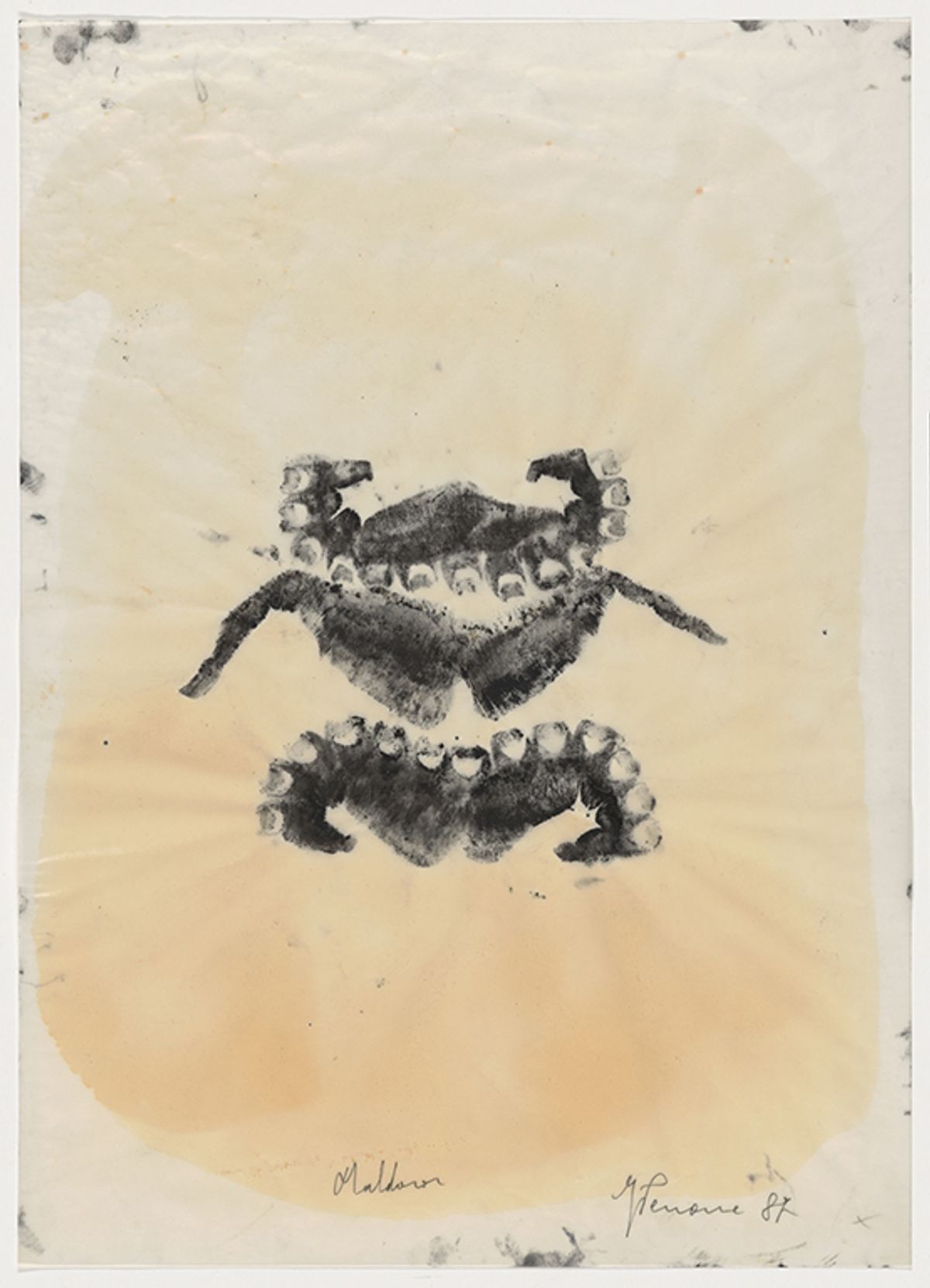 Giuseppe Penone presents two big gifts of drawings to Philadelphia ...