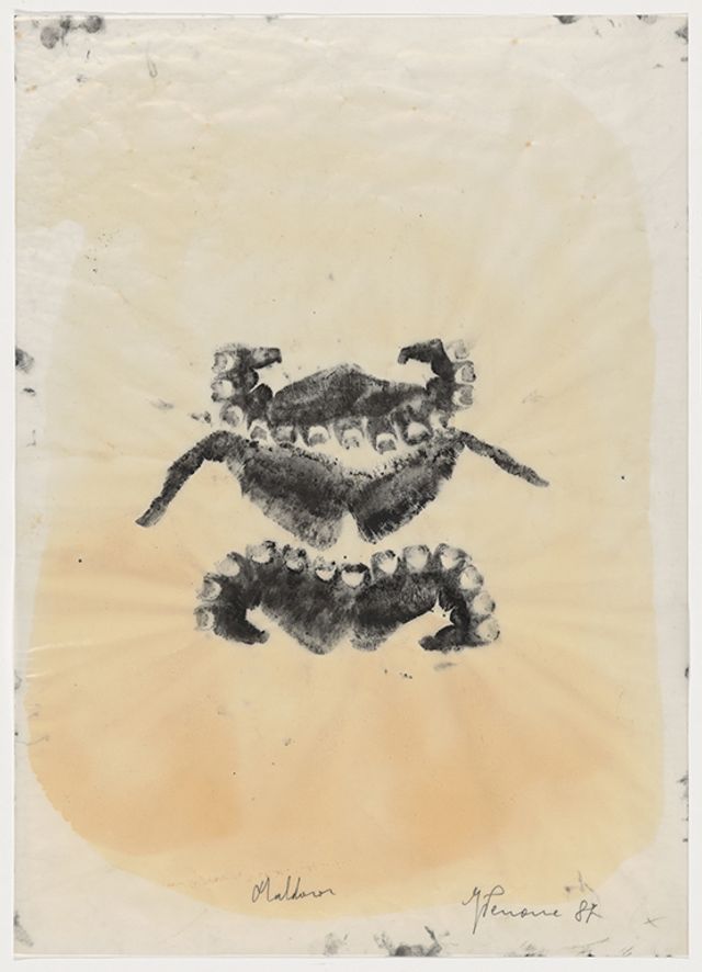 Giuseppe Penone presents two big gifts of drawings to Philadelphia ...