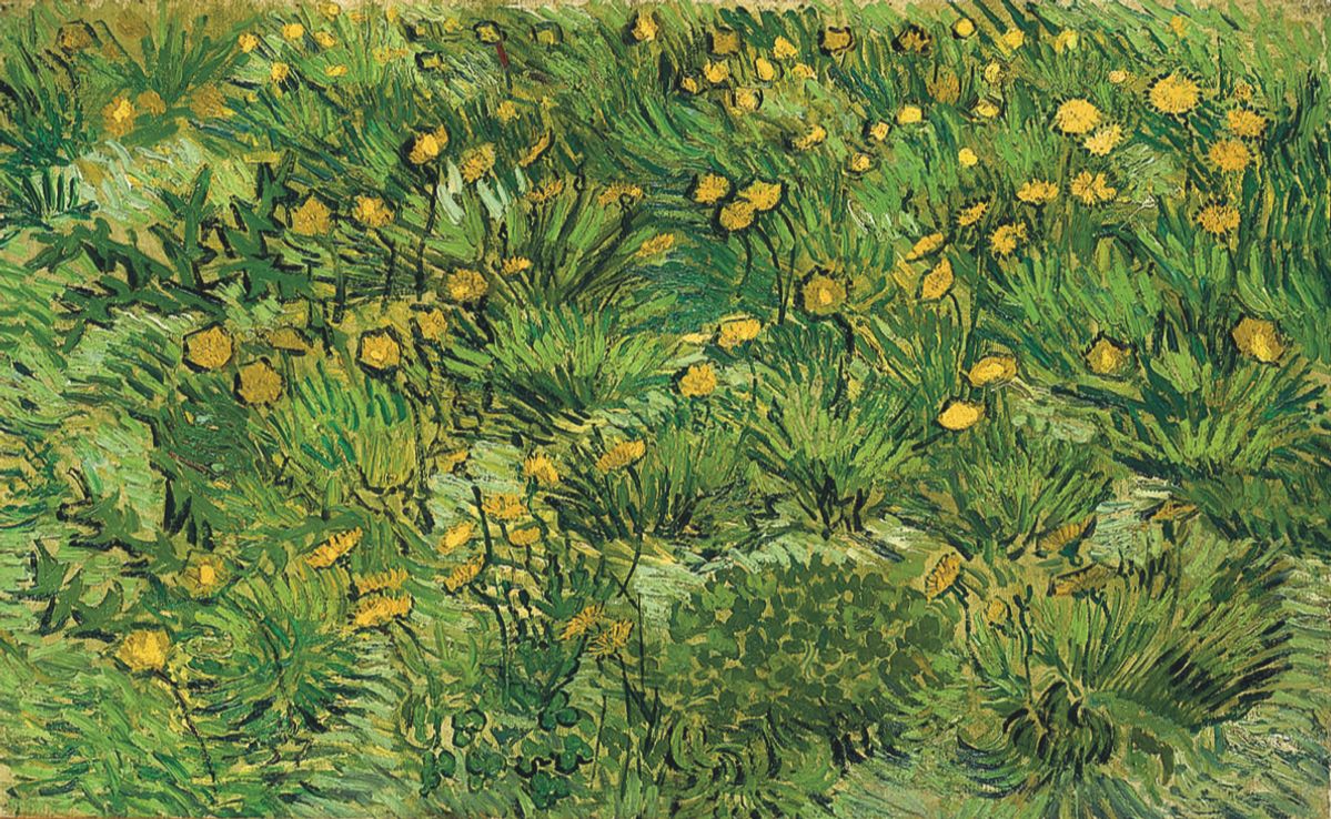 Treats for Van Gogh fans in 2021: exhibitions, museum openings and books