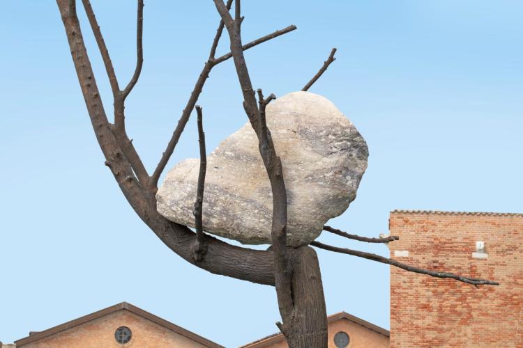 Giuseppe Penone’s monumental tree rises from Venetian lagoon as ...