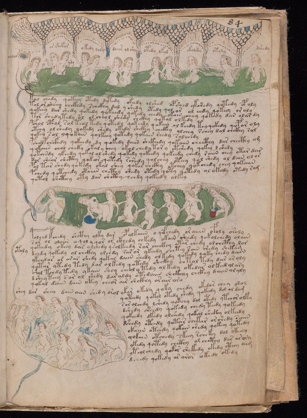 What is the Voynich Manuscript?