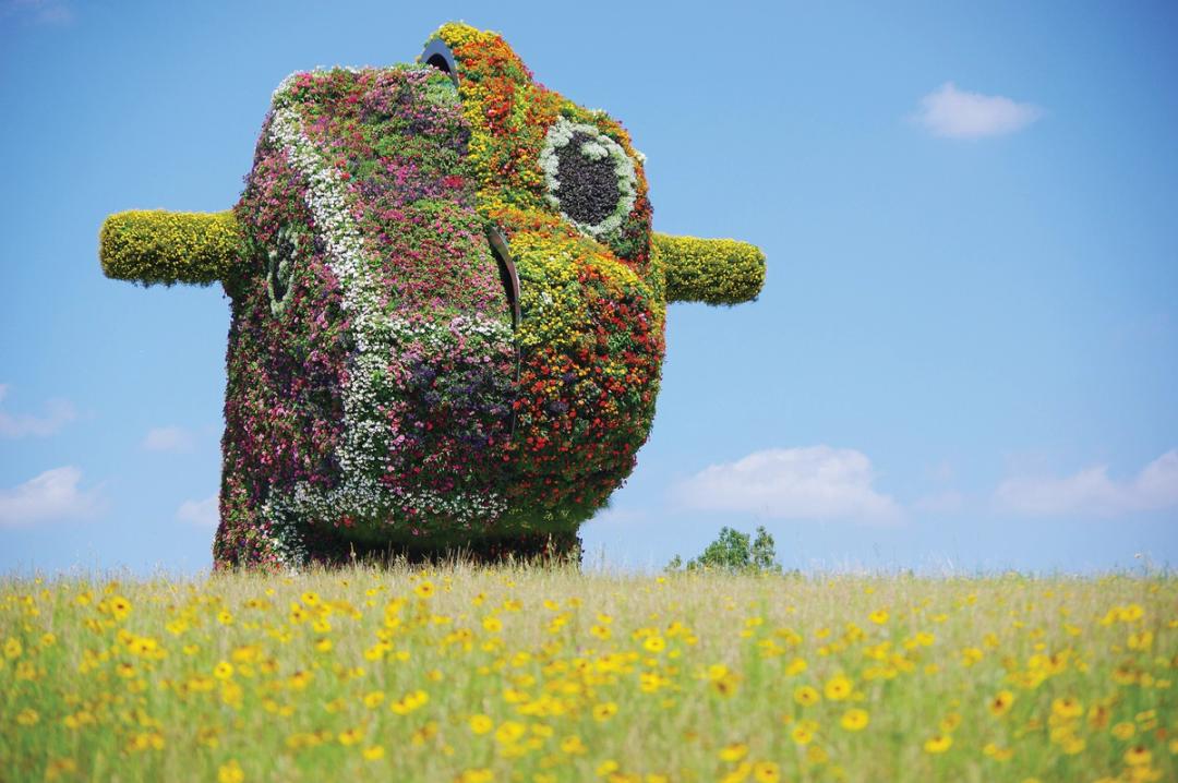 Seven ways museums are responding to the climate crisis