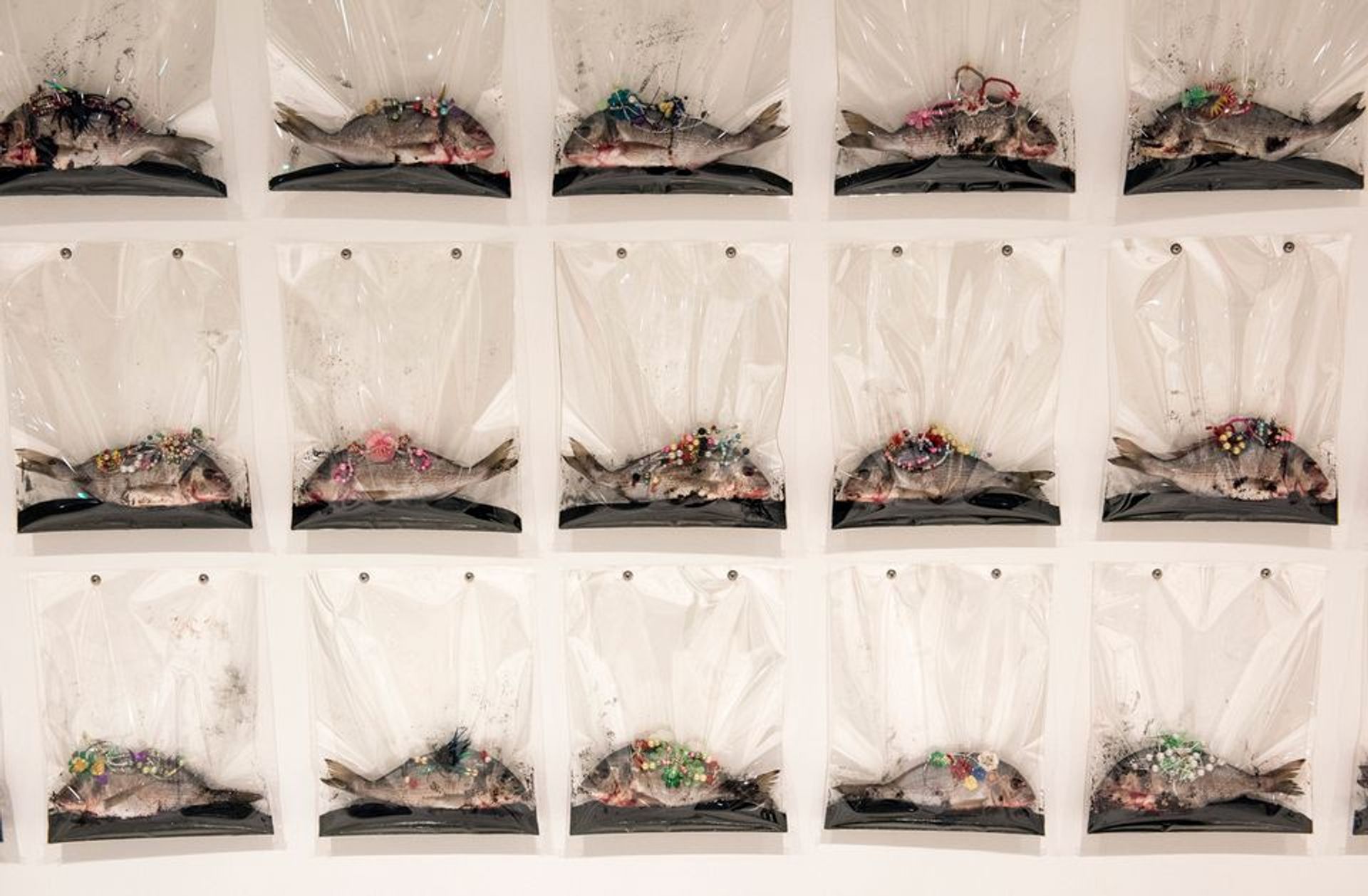 Fish work spontaneously combusts, postponing Lee Bul show at Hayward ...