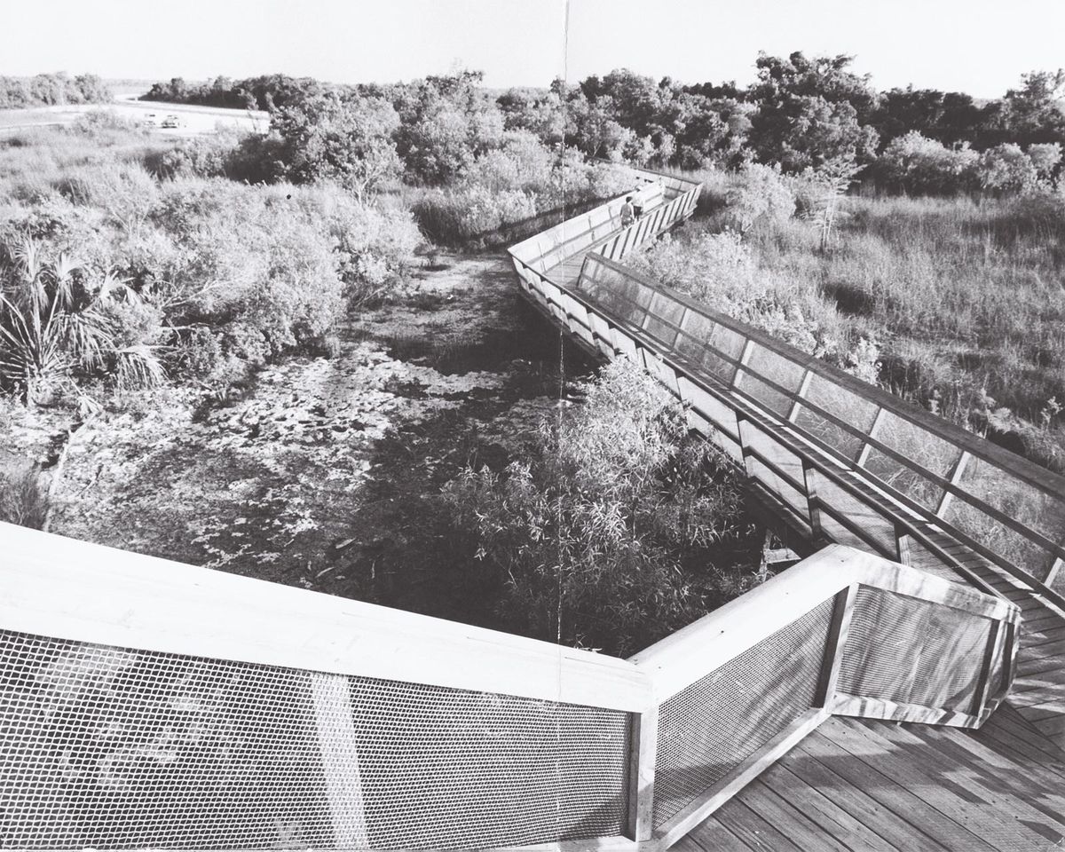 In pictures: journey back in time through the Everglades