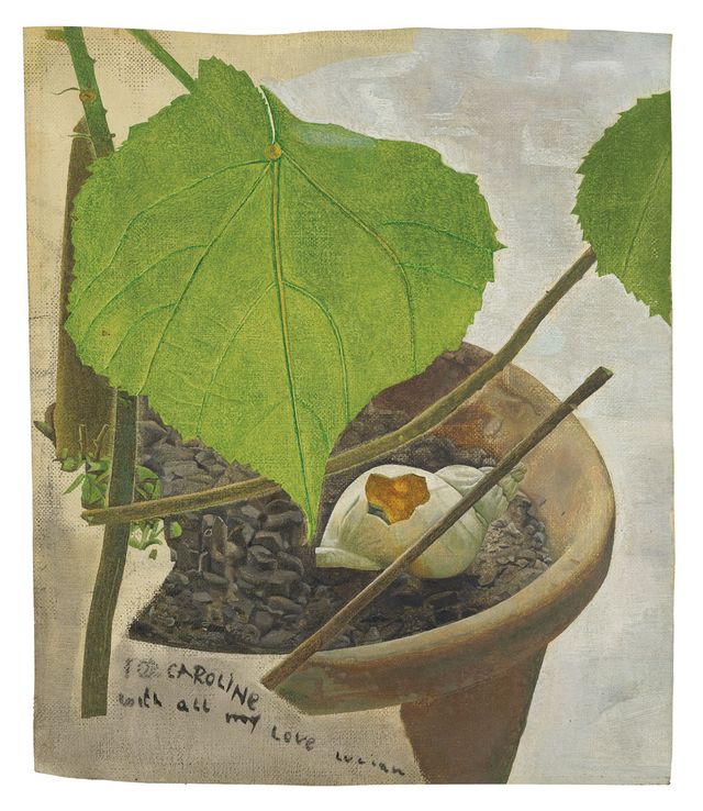 How Lucian Freud was inspired by house plants descended from his ...