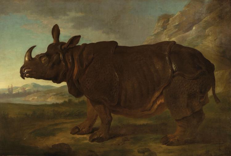 What was it like being a celebrity rhinoceros in 18th-century Europe? A ...