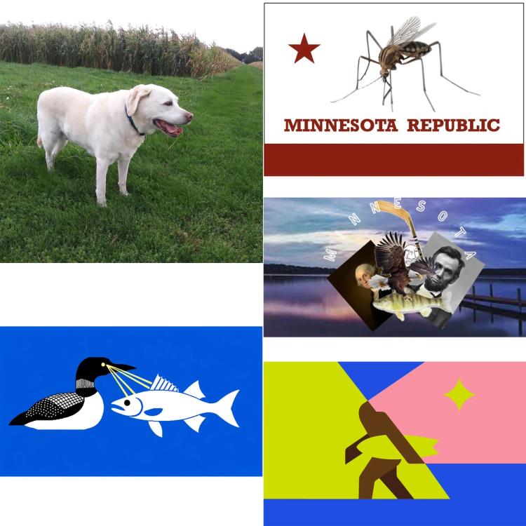 Minnesota picks 24-year-old artist’s design for new state flag