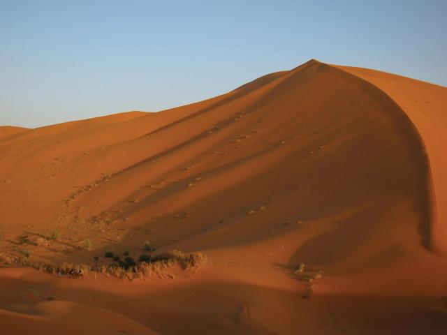 When Saharan sands glittered with gold: how the world's largest desert ...