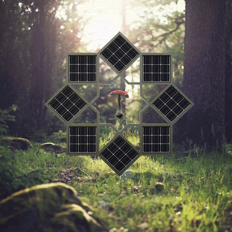 Haroon Mirza and Mat Collishaw launch NFT projects in the wake of ...