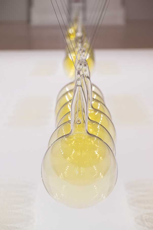 The best exhibitions of 2025, as chosen by curators and museum directors - The Art Newspaper ...