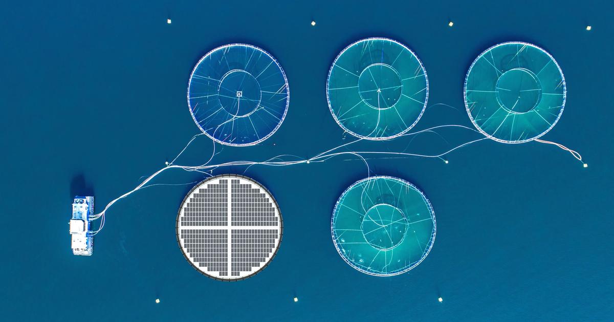 Will deliver 100% emission-free energy solutions to the aquaculture ...