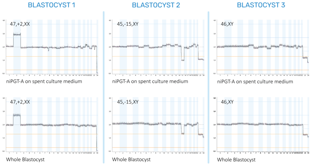 Non-Invasive PGT-A | Amplexa Genetics