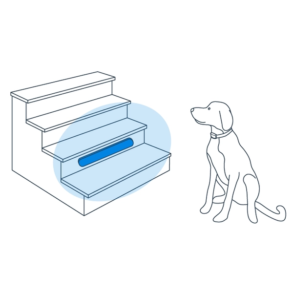 Understanding Your Pawz Away® Threshold Pet Barrier
