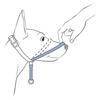 How to Properly Fit the PetSafe® Gentle Leader® on My Dog