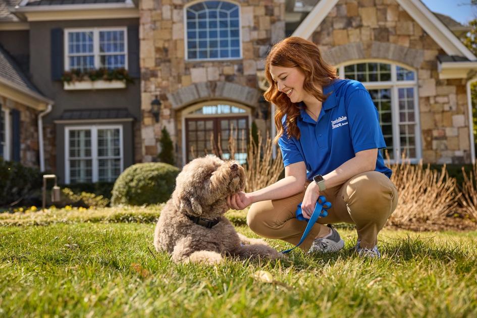 Schedule Your Free Invisible Fence® Consultation