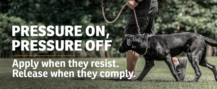 SportDOG Brand | E-Collar Training 101