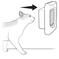 How to Program Your Cat’s Microchip to the PetSafe® Microchip Cat Door