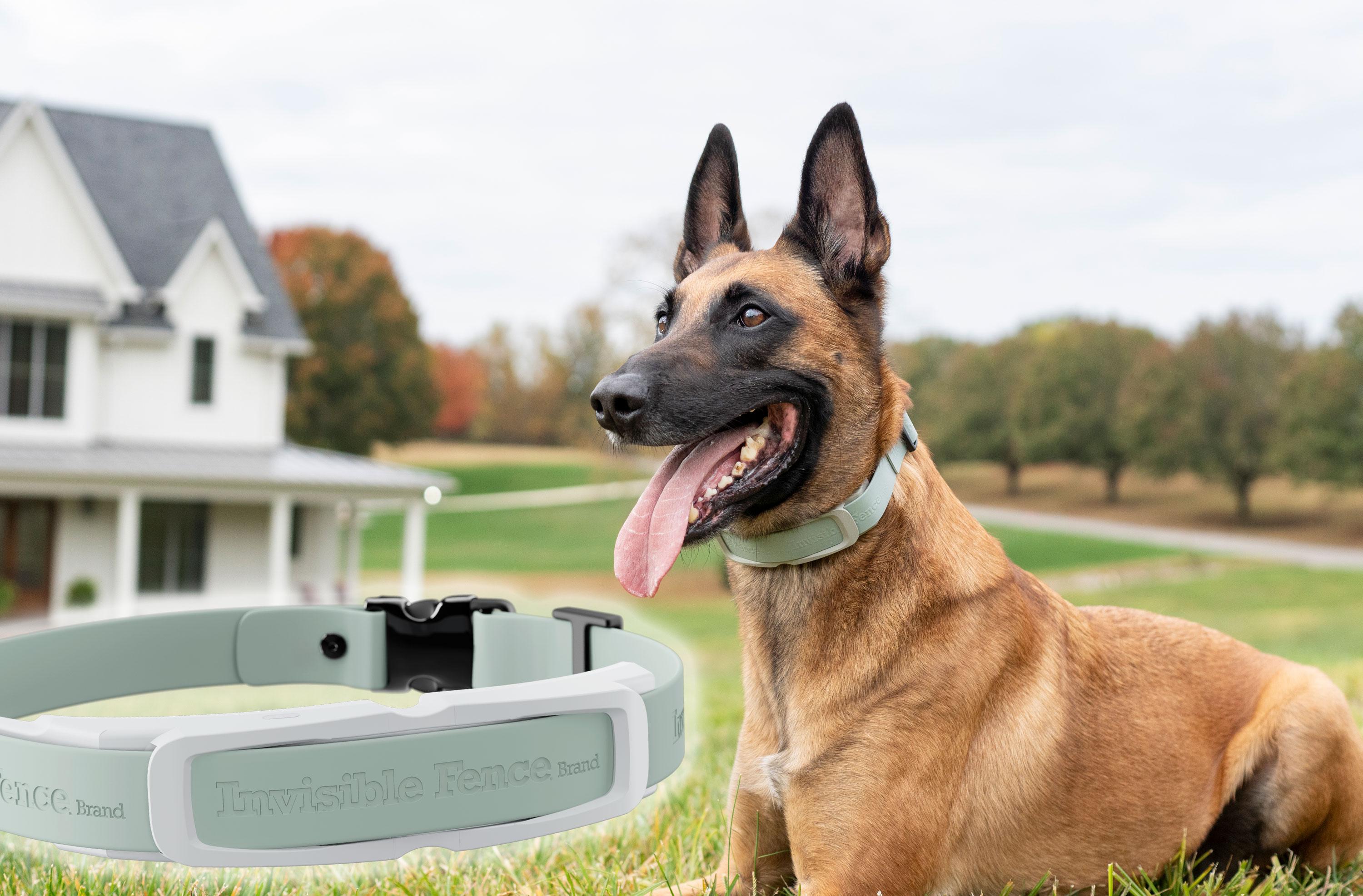 Invisible Fence® GPS Collar: Advanced Pet Tracking & Safety Solutions