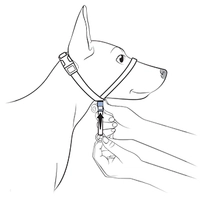 How to Properly Fit the PetSafe® Gentle Leader® on My Dog